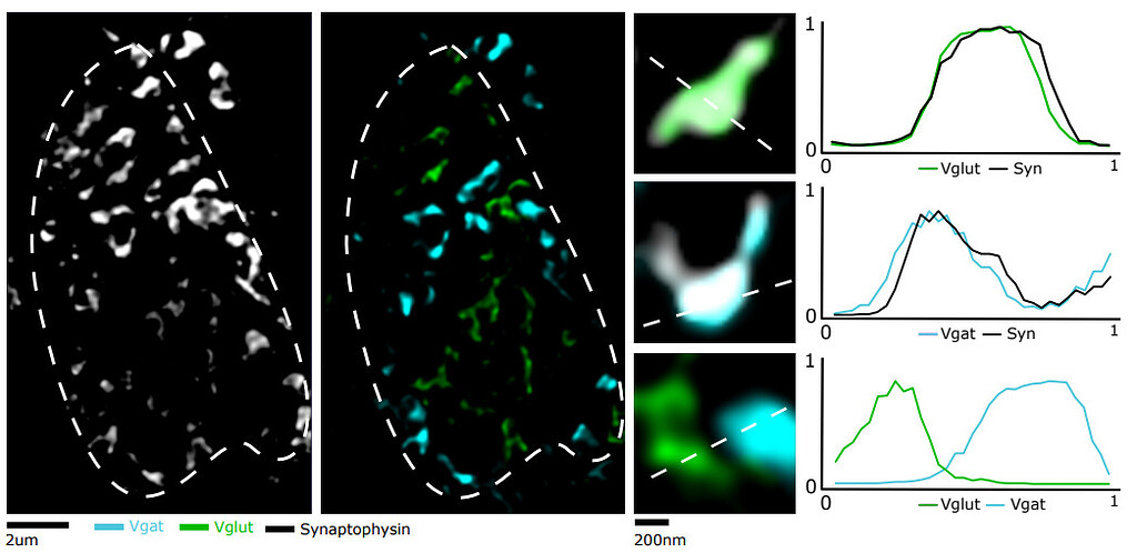 Analyzing Super-Resolution, SIM^2 Processed Images - Help! - Image ...
