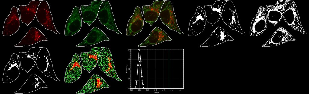 Discrepancy between BIOP-JACoP and Coloc2 tM1/M2 results - Usage & Issues - Image.sc Forum