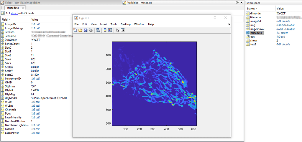 Script to read CZI and other image files via BioFormats inside MATLAB - Image Analysis - Image ...