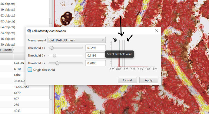 How exactly does QuPath determine cell intensity measurements using the ...