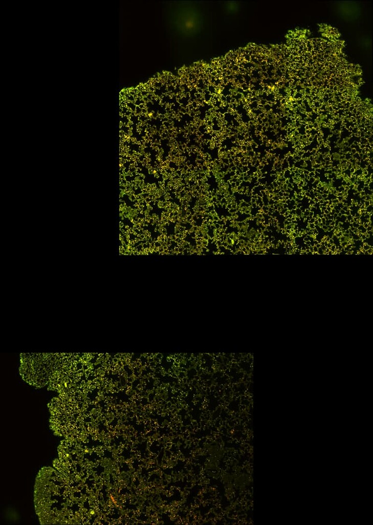 Grid Stitching Collection Plugin One Multi Series File For Several Roi Usage And Issues
