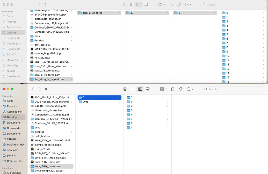 General Zarr pain - XYC fluorescence microscopy data - Usage & Issues ...