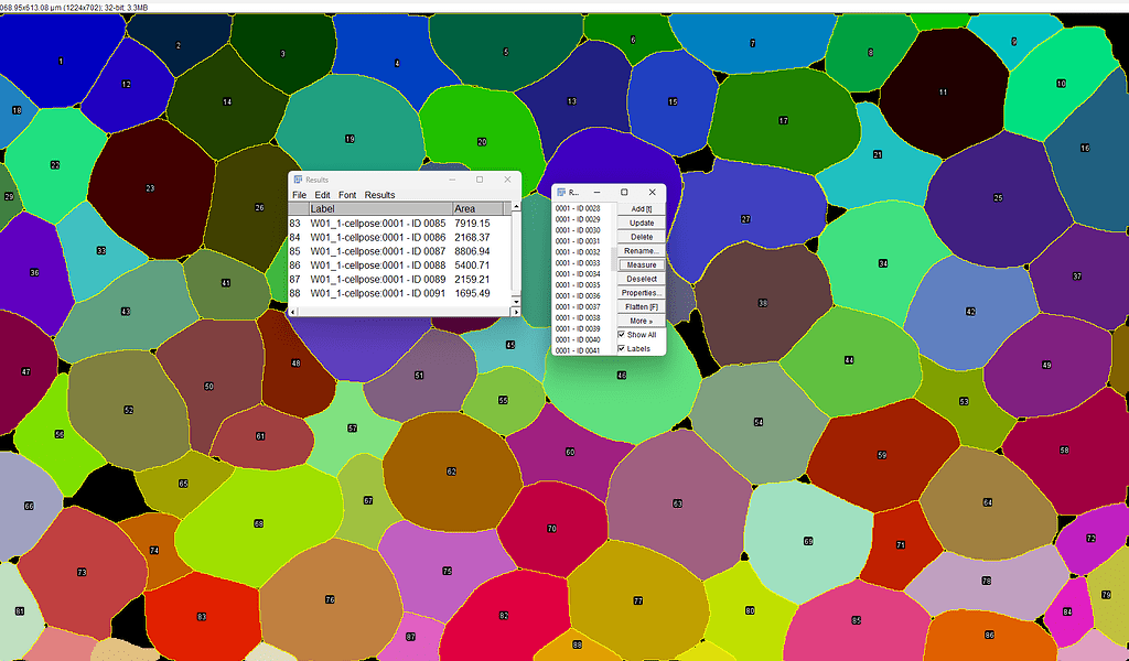 Estimating Cell Diameter Using Cellpose With imageJ - Image Analysis ...