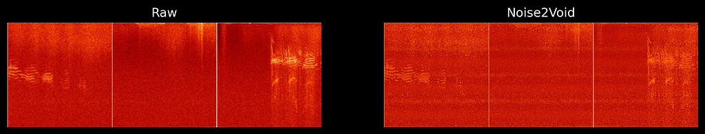 Denoising spectrograms with Careamist Noise2Void? - Image Analysis - Image.sc Forum