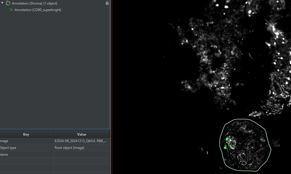 Hierarchy is lost when child annotation is edited in Qupath - Image Analysis - Image.sc Forum
