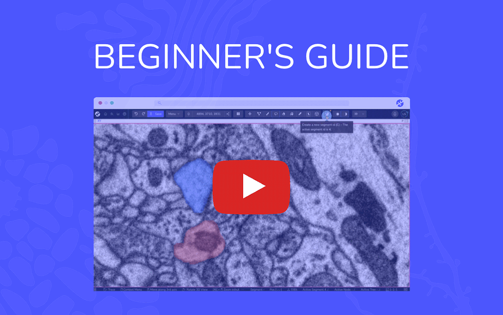 Beginner's Guide - Blog Posts - Image.sc Forum