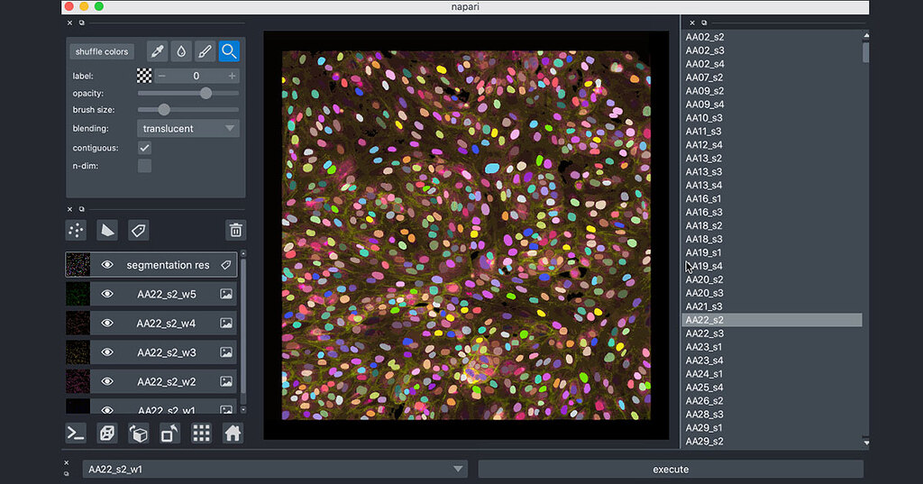 Loading and displaying multiple images in napari - Data Management - Image.sc Forum