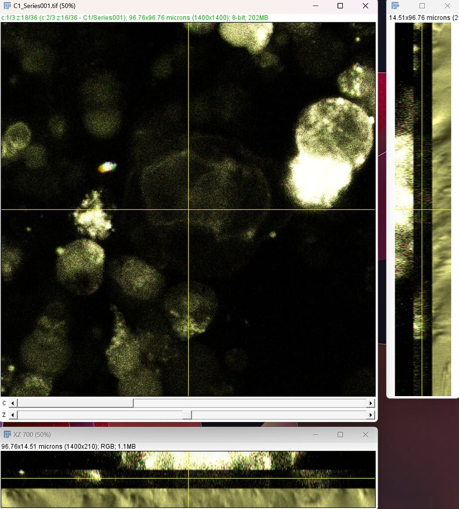 Issues with batch splitting '.lif' files with fiji - Usage & Issues - Image.sc Forum