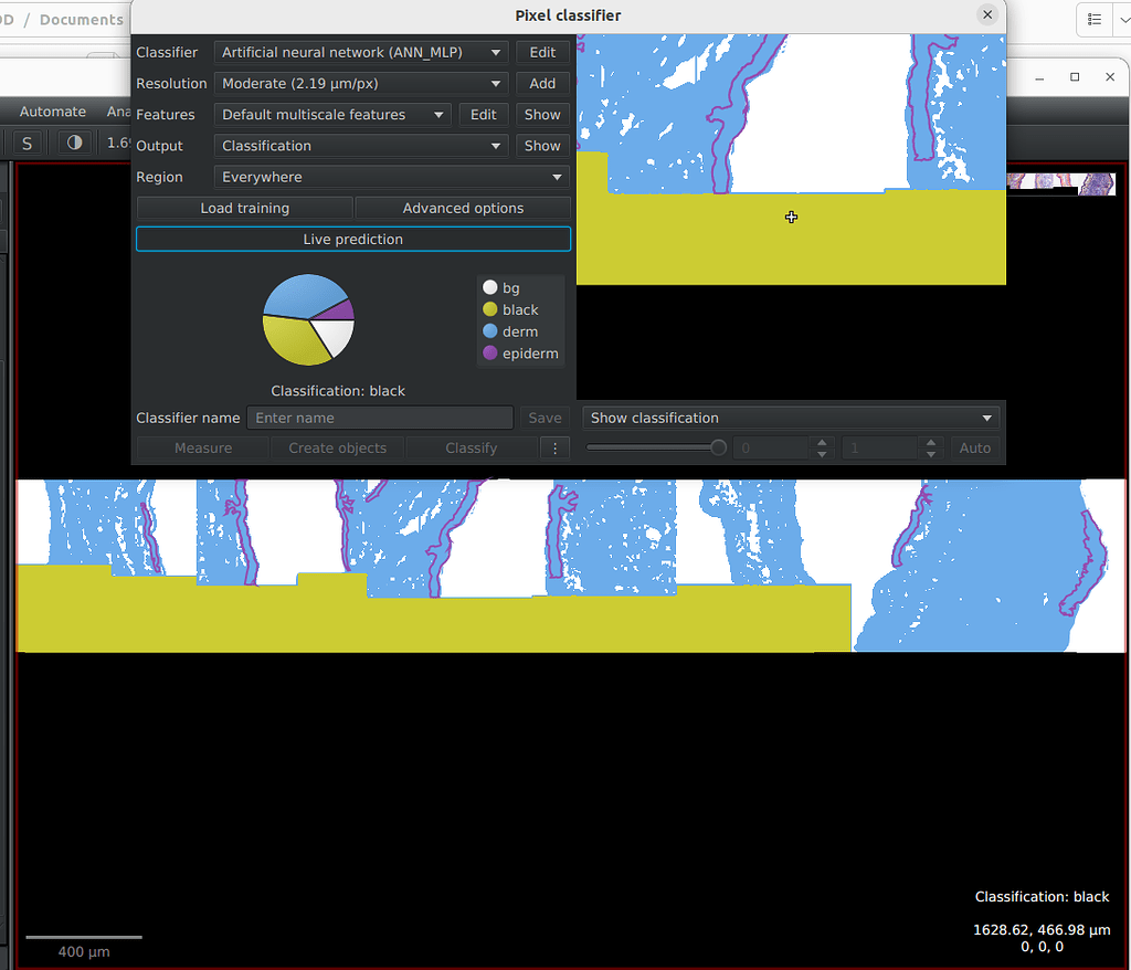 Problem training pixel classifier - Image Analysis - Image.sc Forum