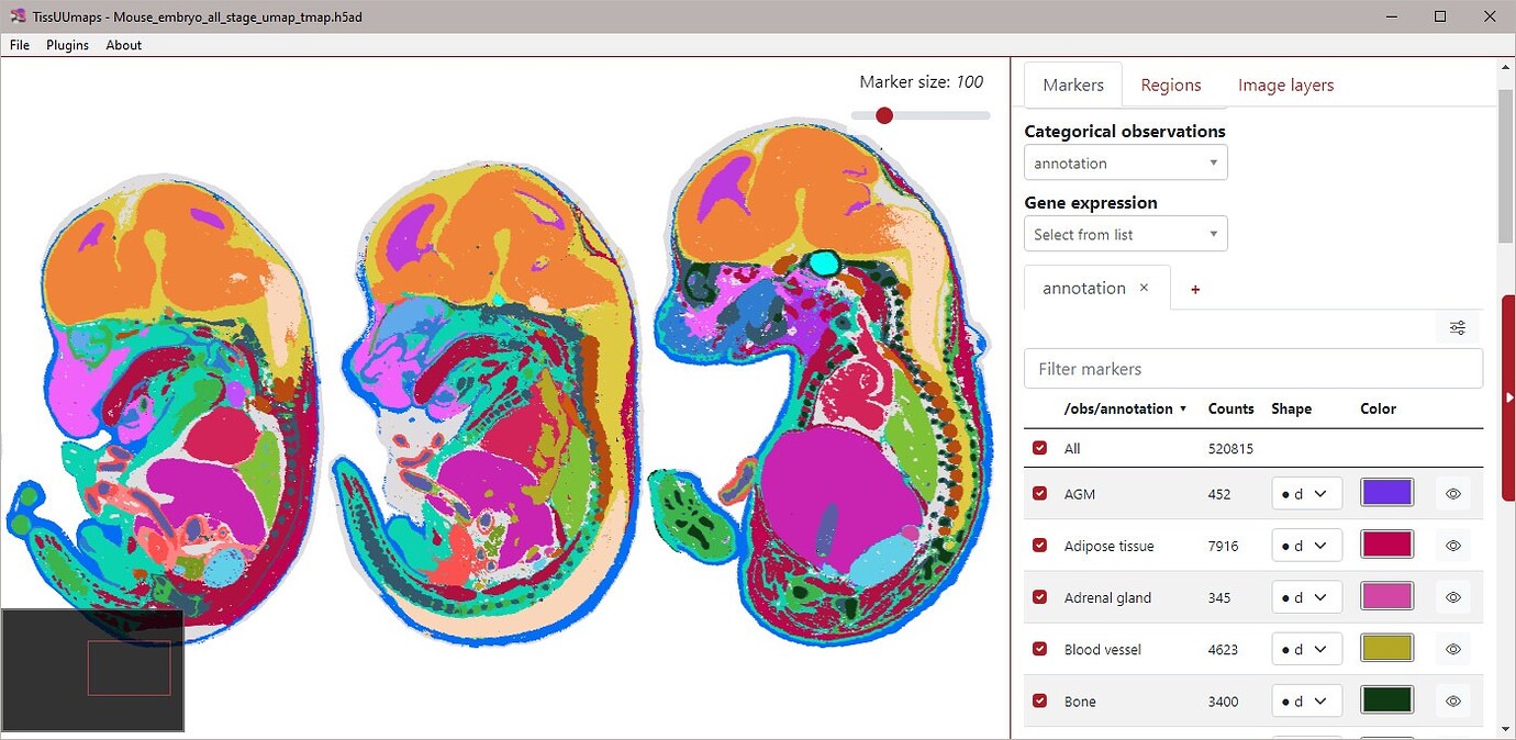 TissUUmaps 3.1 webinar - Announcements - Image.sc Forum