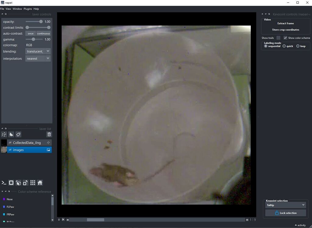 Saving Labeled Frames - Usage & Issues - Image.sc Forum