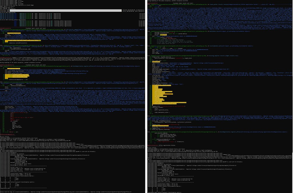 3D brain registration issue - Image Analysis - Image.sc Forum