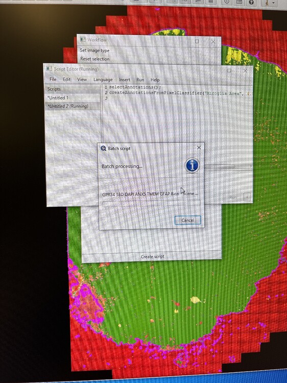 Automated Creation of Objects Using Pixel Classifier in QuPath? - Image Analysis - Image.sc Forum