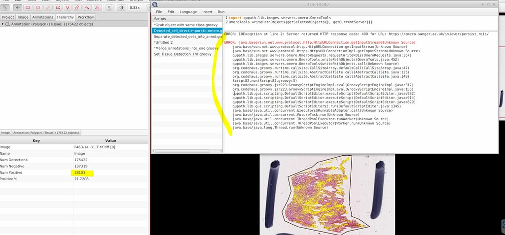 QuPath - Merging positive cells into one object/annotation and upload on omero - Image Analysis ...