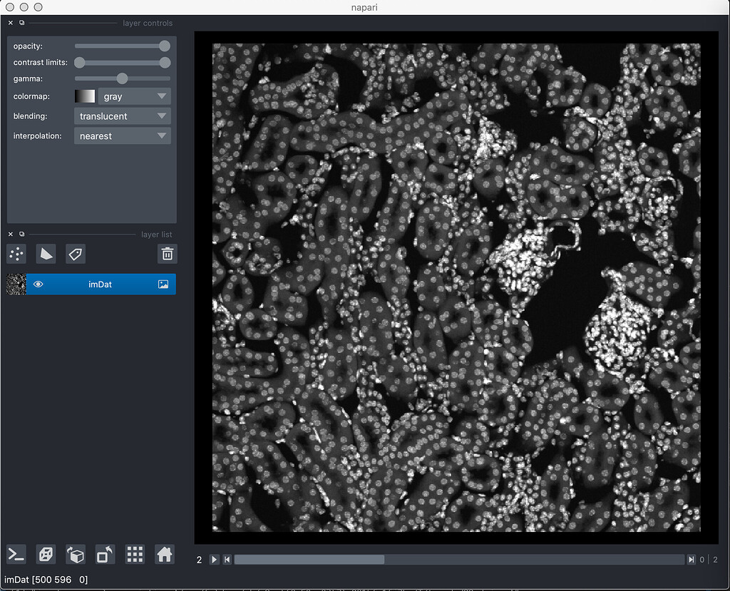 Napari labels layer axis order - Usage & Issues - Image.sc Forum