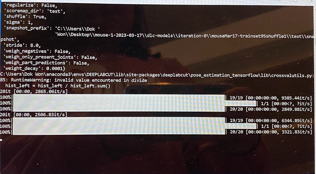 The training isn't getting saved anywhere - Usage & Issues - Image.sc Forum