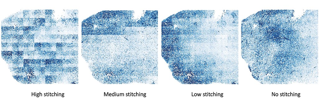 Quantifying stitching effects - Image Analysis - Image.sc Forum