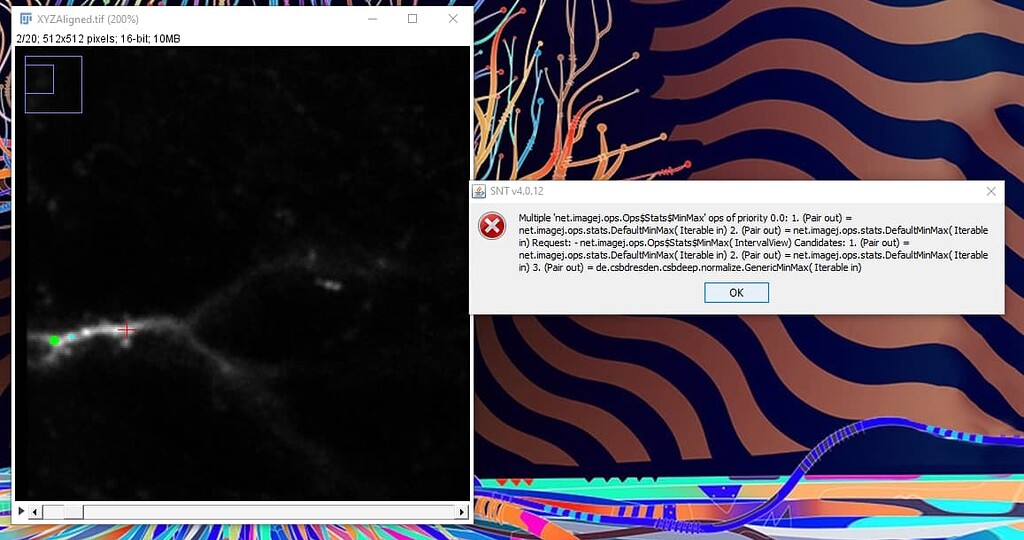 SNT not allowing any path drawing - Usage & Issues - Image.sc Forum