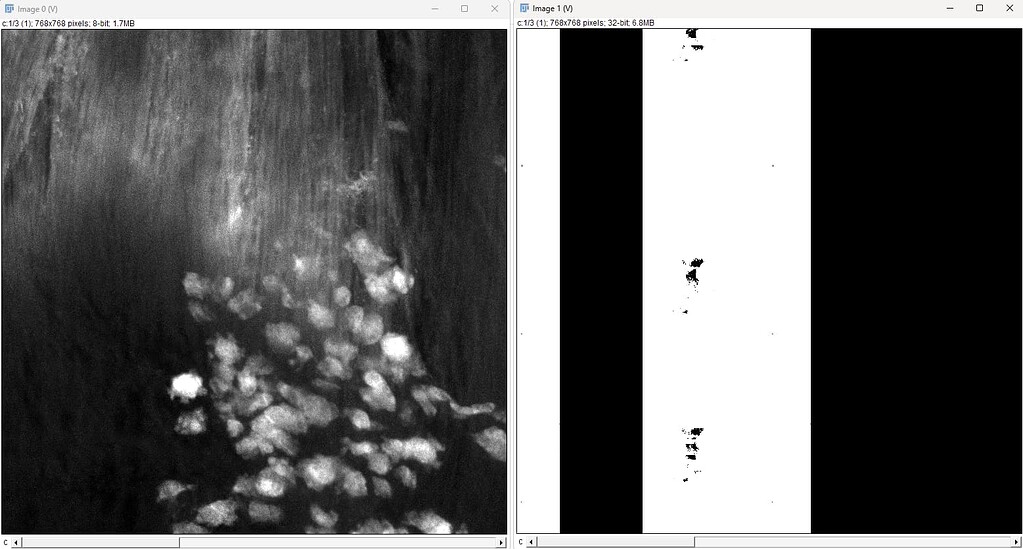 Deepimagej model not working after update - Usage & Issues - Image.sc Forum