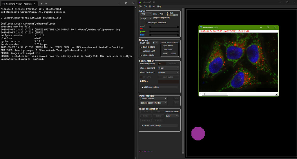Cellpose [GUI] installation issues and potential solution - Usage & Issues - Image.sc Forum