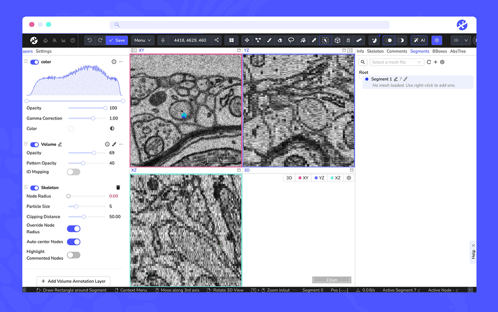 AI quick-select tool in WEBKNOSSOS - now in 3D - Blog Posts - Image.sc Forum