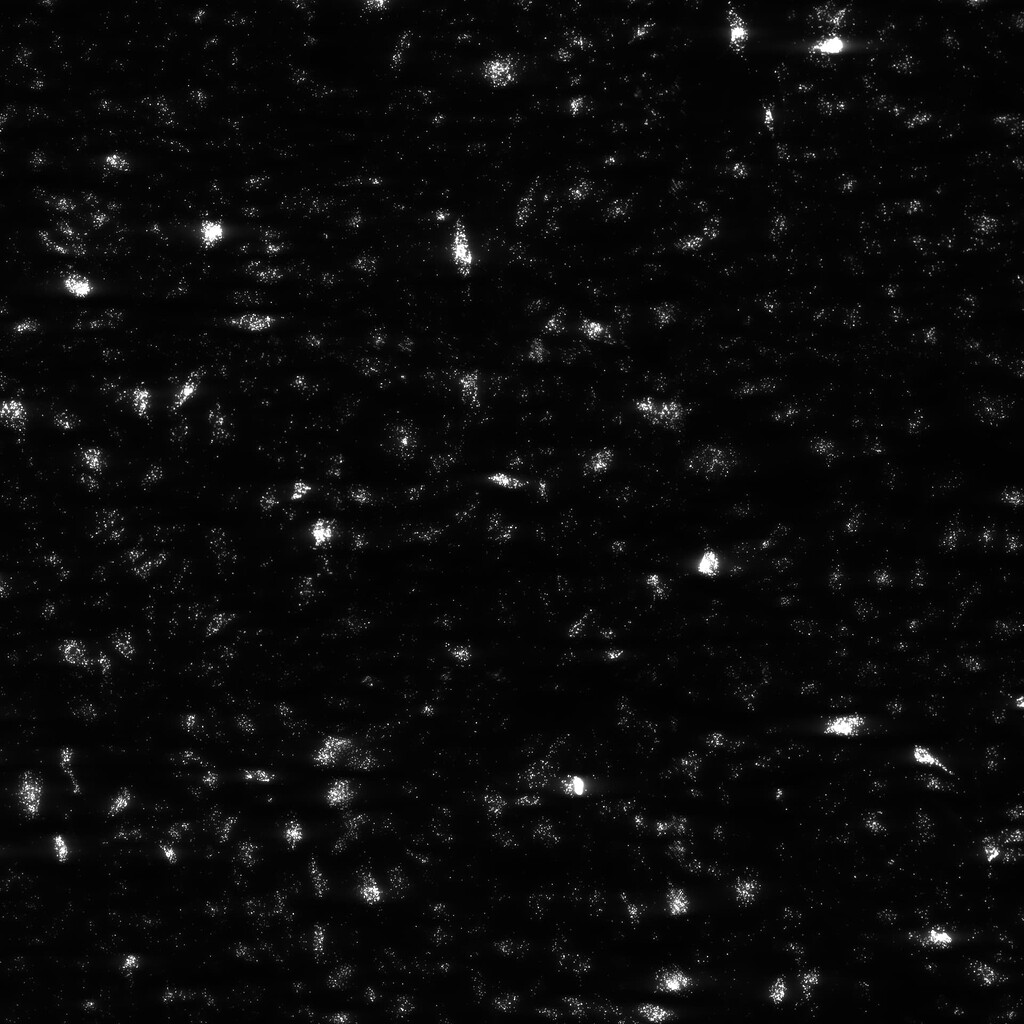 RNA scope imaging and quantification - Image Analysis - Image.sc Forum