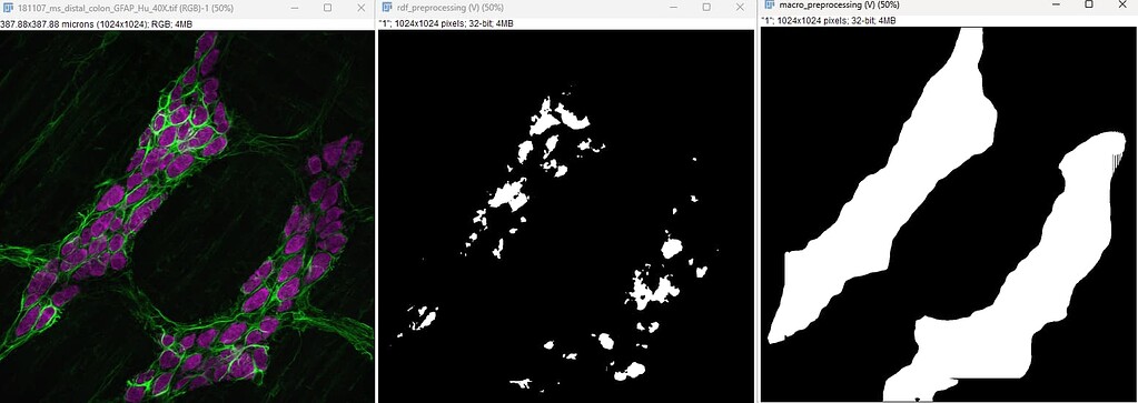 Bioimageio preprocessing question - Usage & Issues - Image.sc Forum