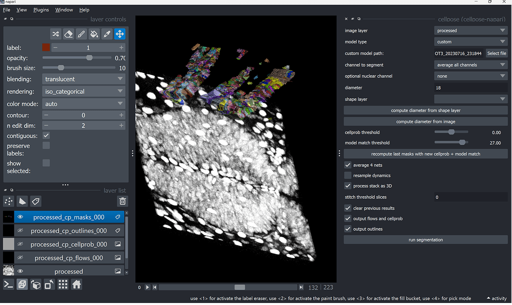 Cellpose Napari produces what looks like an orthogonal label layer - Usage & Issues - Image.sc Forum