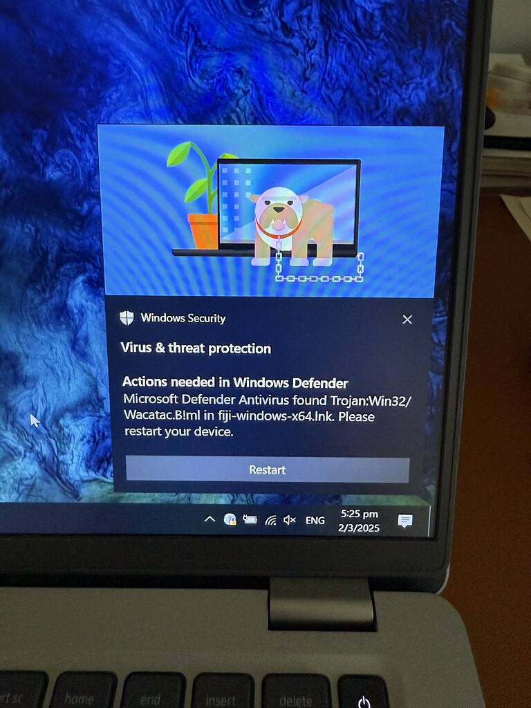 Trojan found in Fiji-windows-x64.lnk by Windows Defender - Usage & Issues - Image.sc Forum