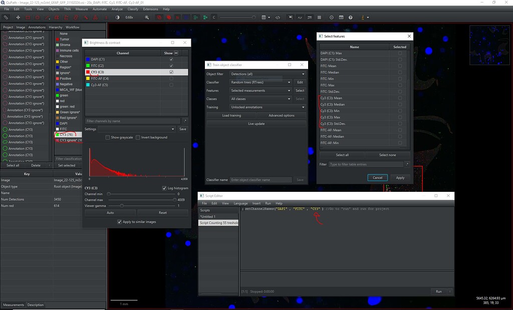 Renaming channels works, but then apparently it doesn't work when it comes to creating an object ...