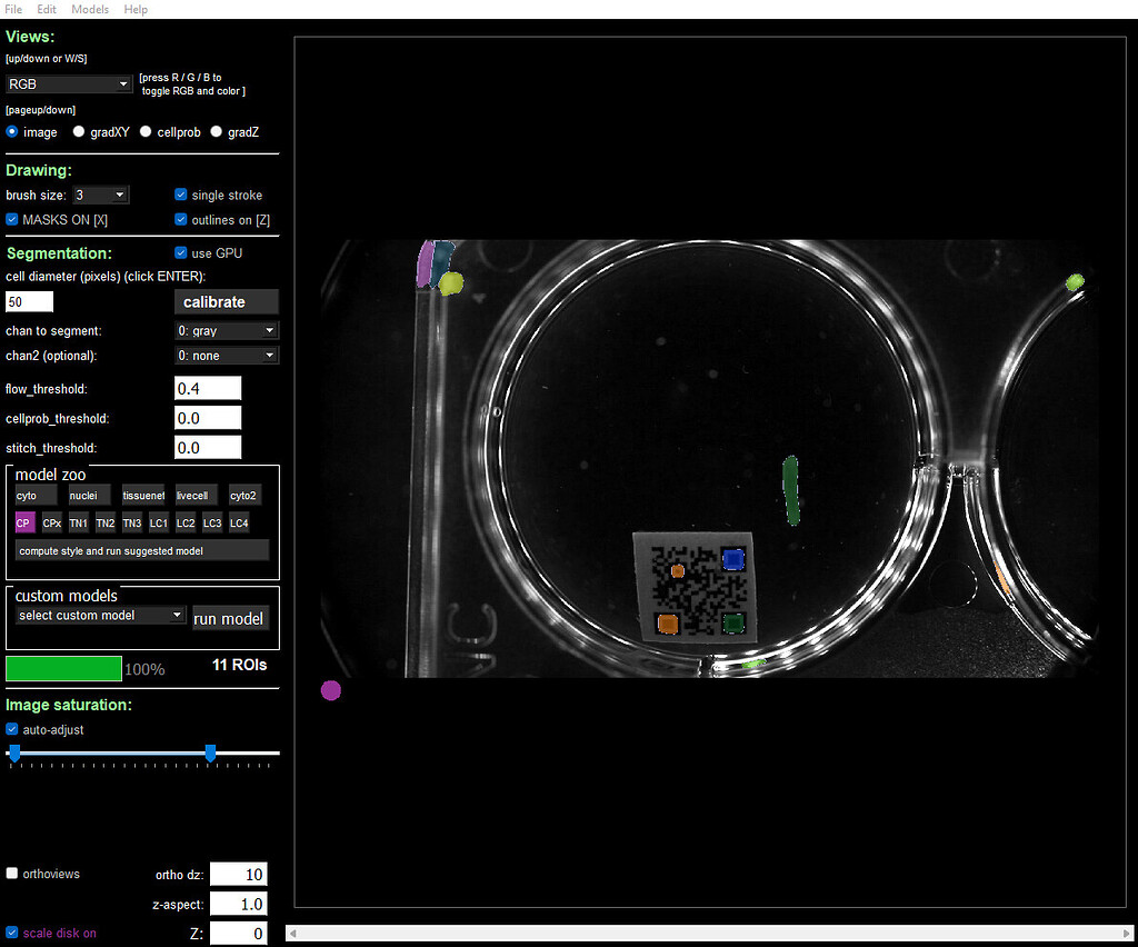 Single Object Segmentation Using Cellpose Usage And Issues Image Sc Forum