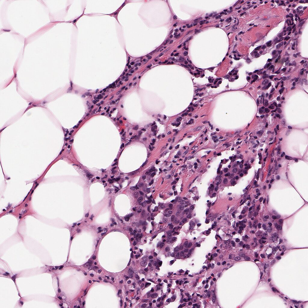 Conversion from open formats to svs for eSlide Manager - Data ...