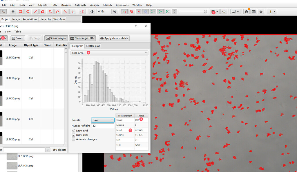 How to export the cell areas from QuPath directly - Image Analysis - Image.sc Forum