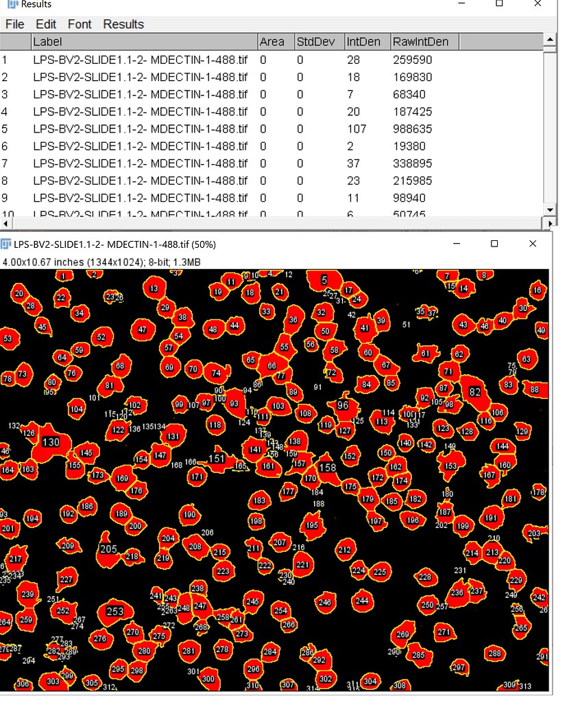 How do I get the area of each particle after watershed? - Image Analysis - Image.sc Forum