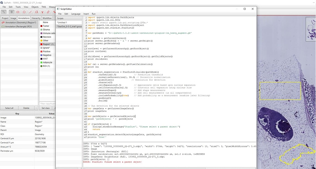 QuPath script doesn't find selected annotated objects - Usage & Issues - Image.sc Forum