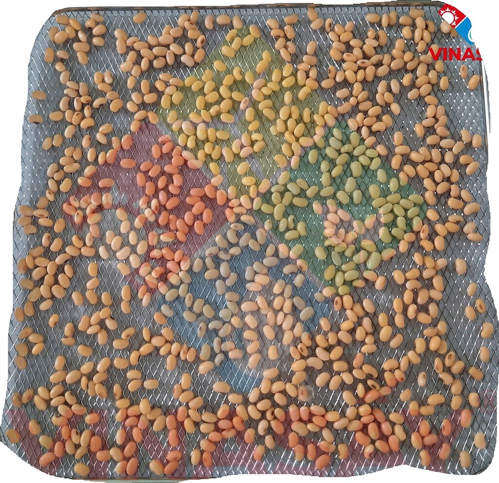 Count the beans in those watermarks image - Image Analysis - Image.sc Forum