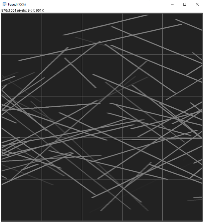 Image Stitching using FIJI/ImageJ - Image Analysis - Image.sc Forum