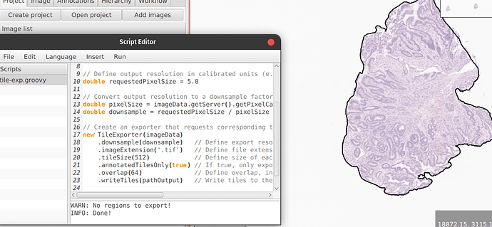 Export tiles from the annotated regions - Usage & Issues - Image.sc Forum