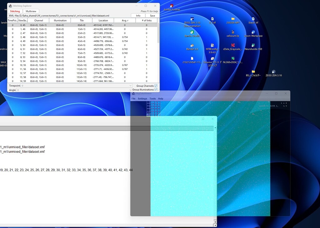 Transparent window BigDataViewer - Usage & Issues - Image.sc Forum
