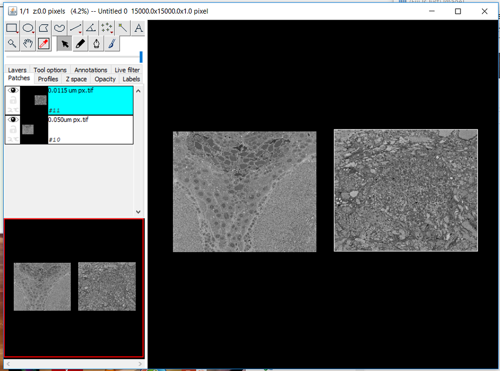 Montaging images with different pixel scales in TrakEM2 - Image ...