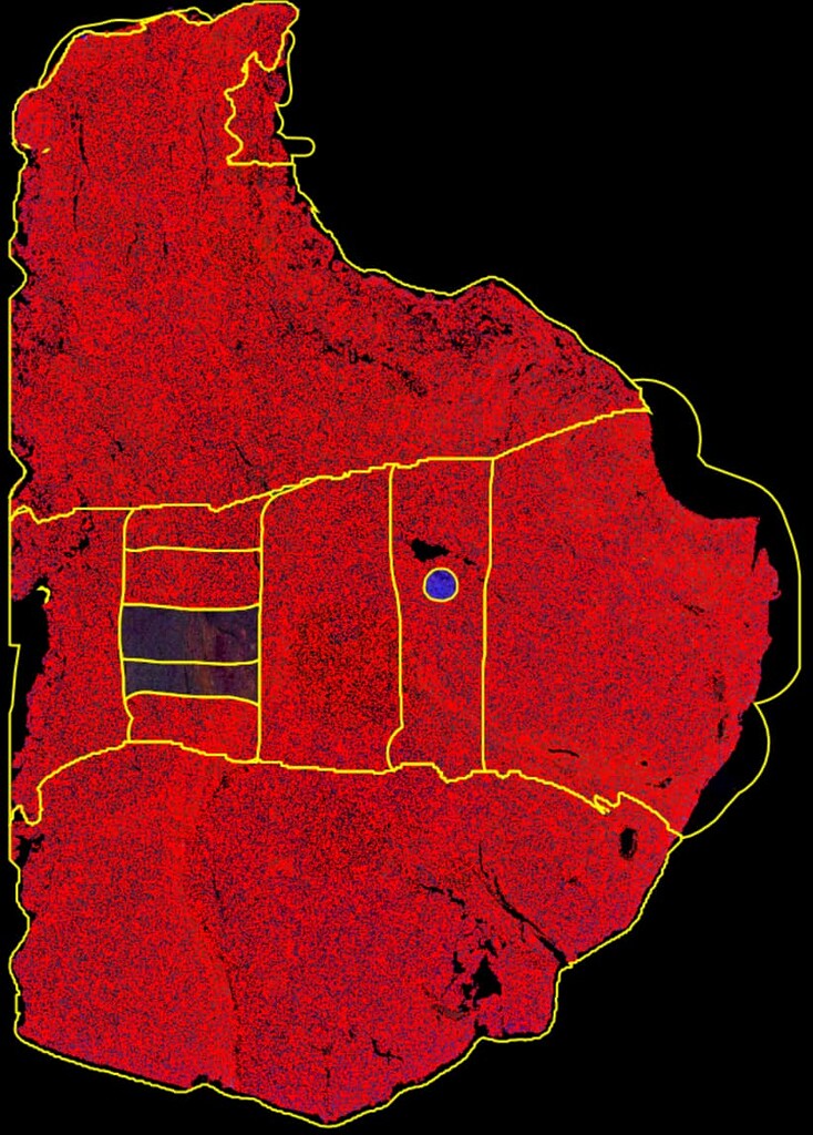 StarDist error message - TopologyException - Image Analysis - Image.sc Forum