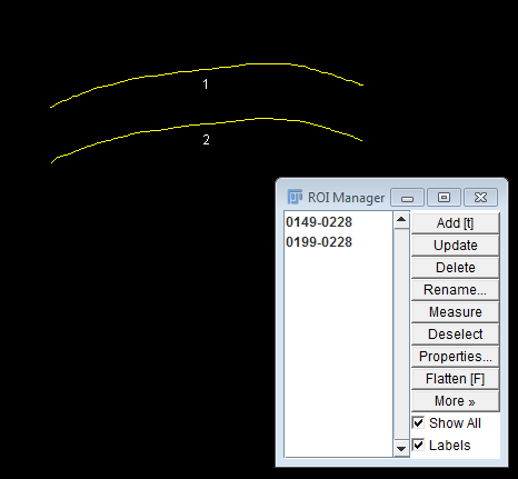 How to draw a curved line in ImageJ and move it for certain pixels? Can ...