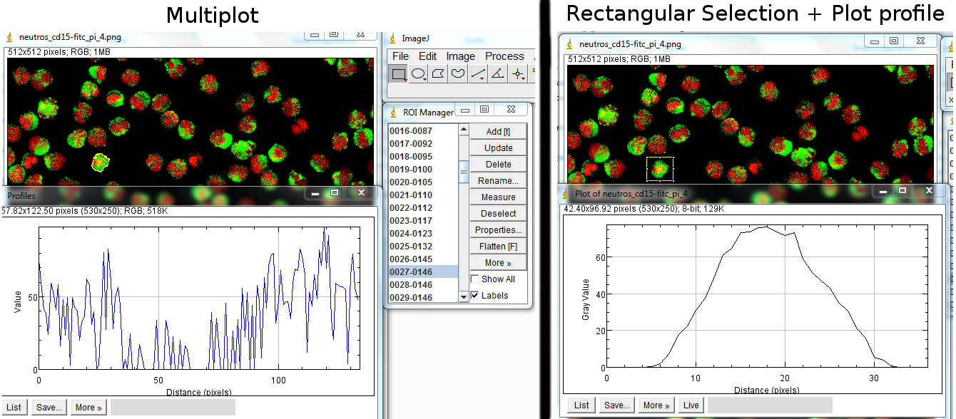 Plot Profile of ROI (with a macro) - Development - Image.sc Forum