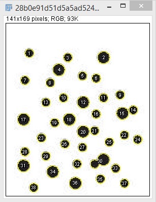 Counting dots and distance in ImageJ? - Image Analysis - Image.sc Forum