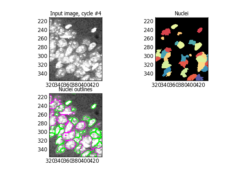 Counting and Tracking Cells in a tight Z-Stack - Image Analysis - Image ...