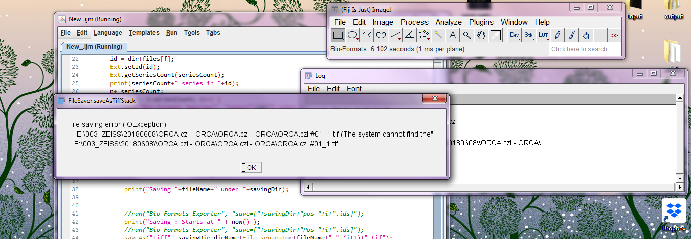 How to extract series from unique .czi file - Image Analysis - Image.sc ...