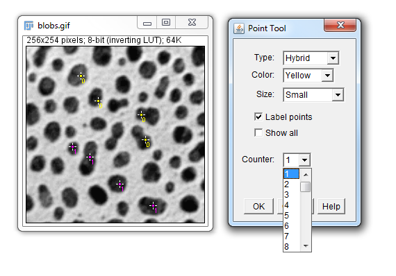 Using Fiji's multipoint tool to create 2 different labels - Image ...