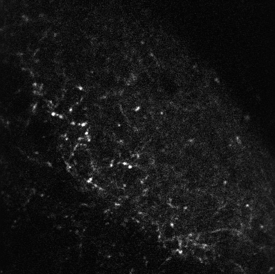 TurboReg batch processing macro - Image Analysis - Image.sc Forum