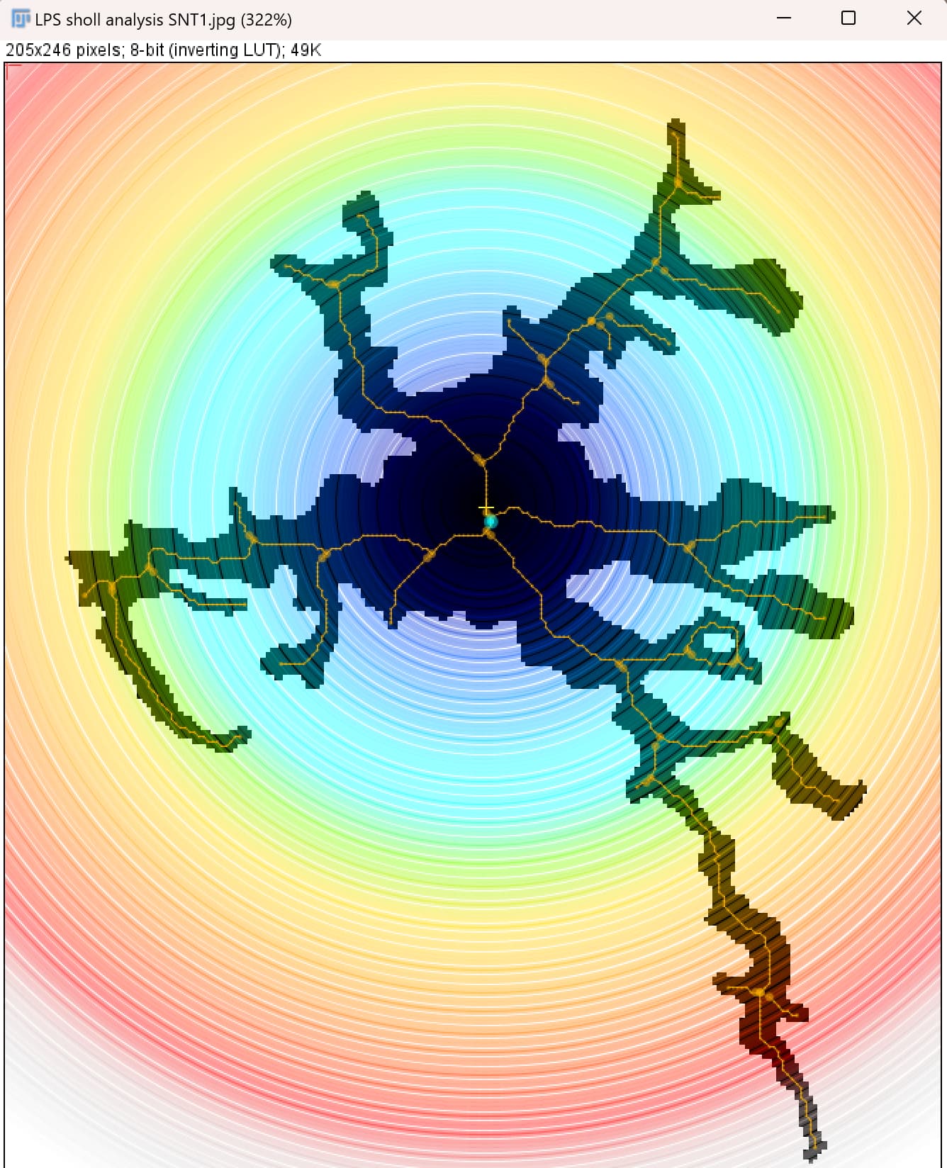 Error when using Sholl analysis and SNT - Image Analysis - Image.sc Forum