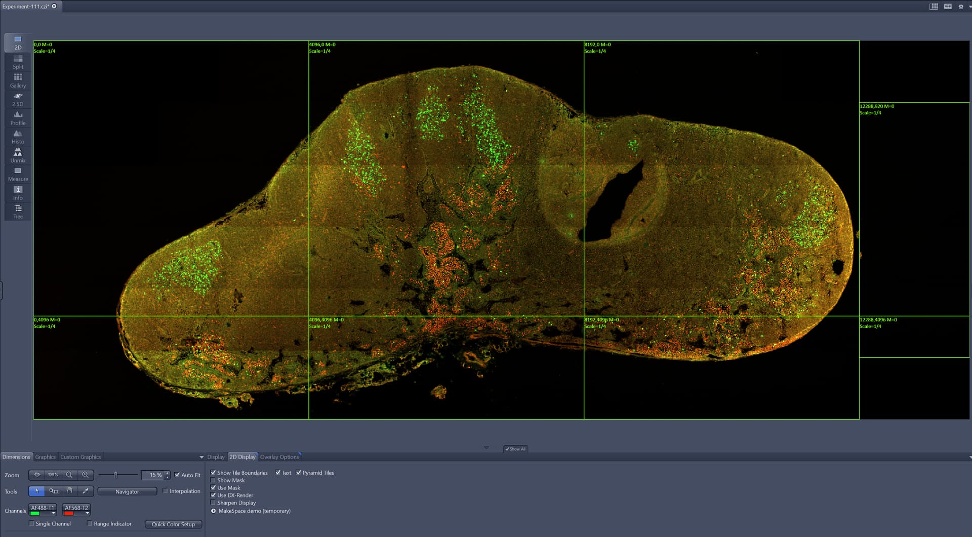 Czi pyramidal with bioformat - Development - Image.sc Forum